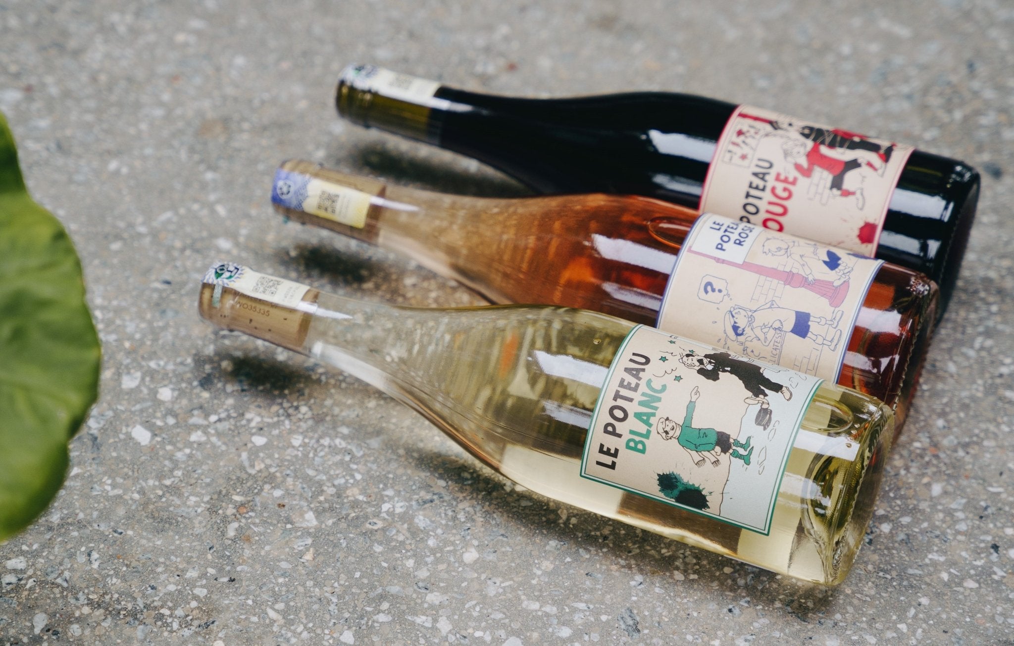 Le Poteau Promo – Vyne